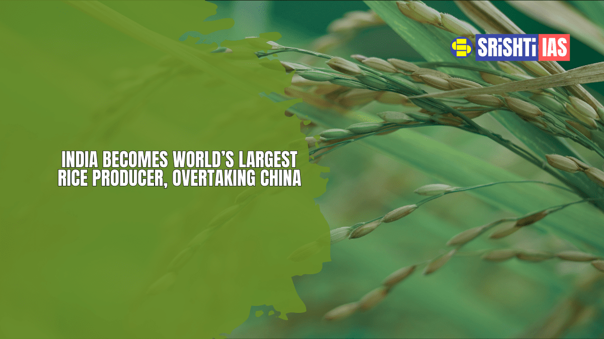 India Becomes World’s Largest Rice Producer — Srishti IAS